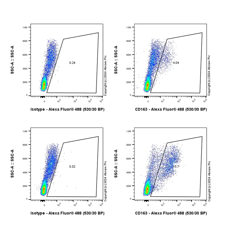 Anti-CD163 antibody [EPR29058-507] (ab322551) | Abcam