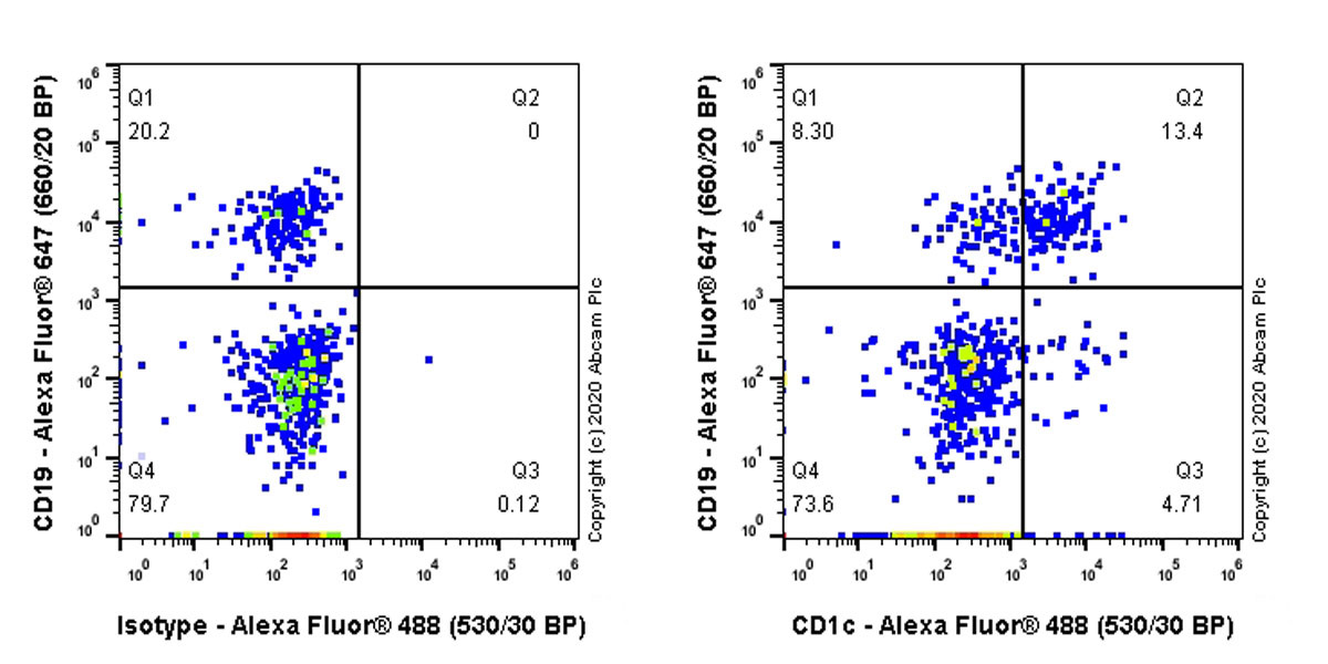 Anti-CD1c antibody [EPR23189-305] (ab273049) | Abcam