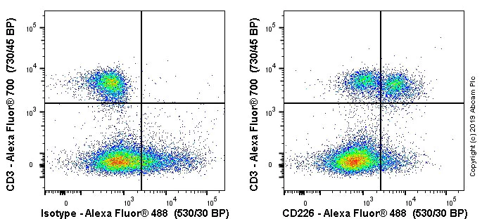 Anti-CD226 antibody [EPR21245] (ab245186) | Abcam