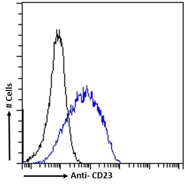 Anti-CD23 Antibody [Bu38] (ab316354) | Abcam
