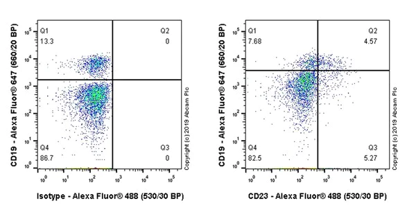 Anti-CD23 antibody [BU38] - BSA and Azide free (ab255918) | Abcam