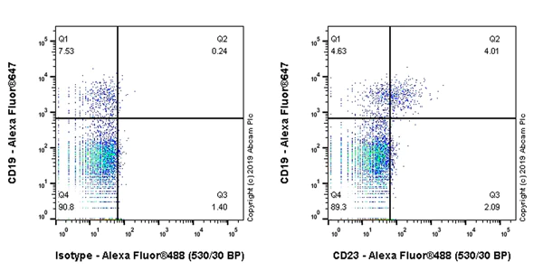 Anti-CD23 antibody [EPR3617] - BSA and Azide free (ab247568) | Abcam