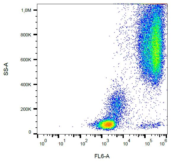 Anti-CD24 antibody [SN3] (ab134375) | Abcam