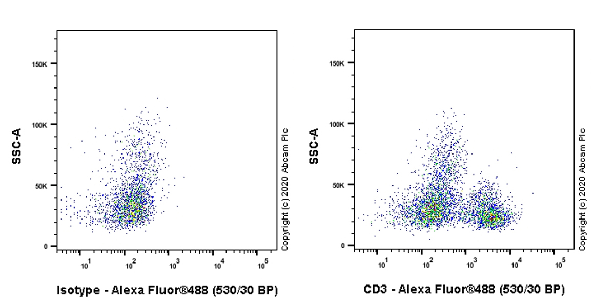 Anti-CD3 antibody [CD3-12] (ab11089) | Abcam