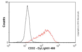 Anti-CD32B + CD32A antibody [AT10] - BSA free (ab41899) | Abcam
