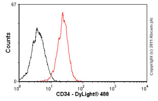 Anti-CD34 antibody [QBEND/10] (ab8536) | Abcam