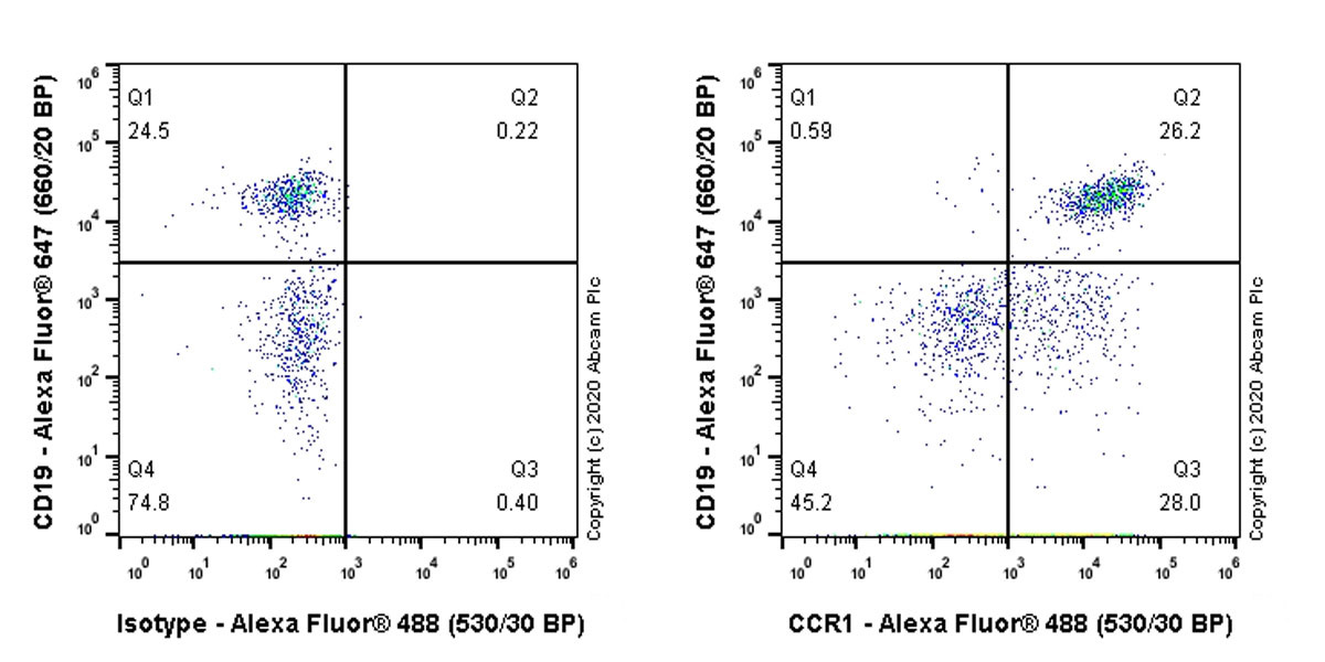 Anti-CD35 antibody [7G9] (ab254151) | Abcam