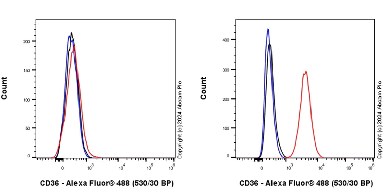 Anti-CD36 antibody [EPR27433-40] (ab317250) | Abcam