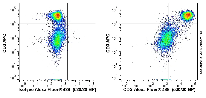 Anti-CD5 antibody [OX19] - BSA and Azide free (ab244582) | Abcam