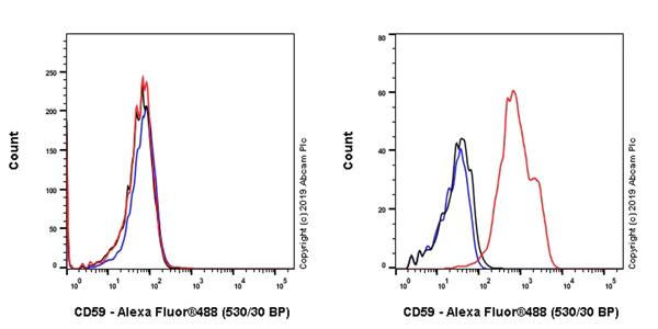 Anti-CD59 antibody [EPR22394-242] (ab253239) | Abcam