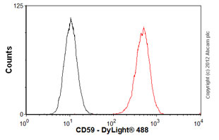 Anti-CD59 antibody [MEM-43/5] (ab9183) | Abcam
