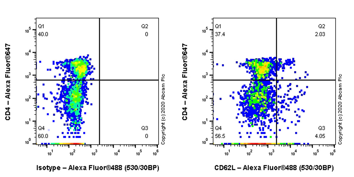 Anti-CD62L antibody [DREG-56] (ab254540) | Abcam
