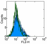 Anti-CD70 antibody [FR70] - Low endotoxin, Azide free (ab171218) | Abcam