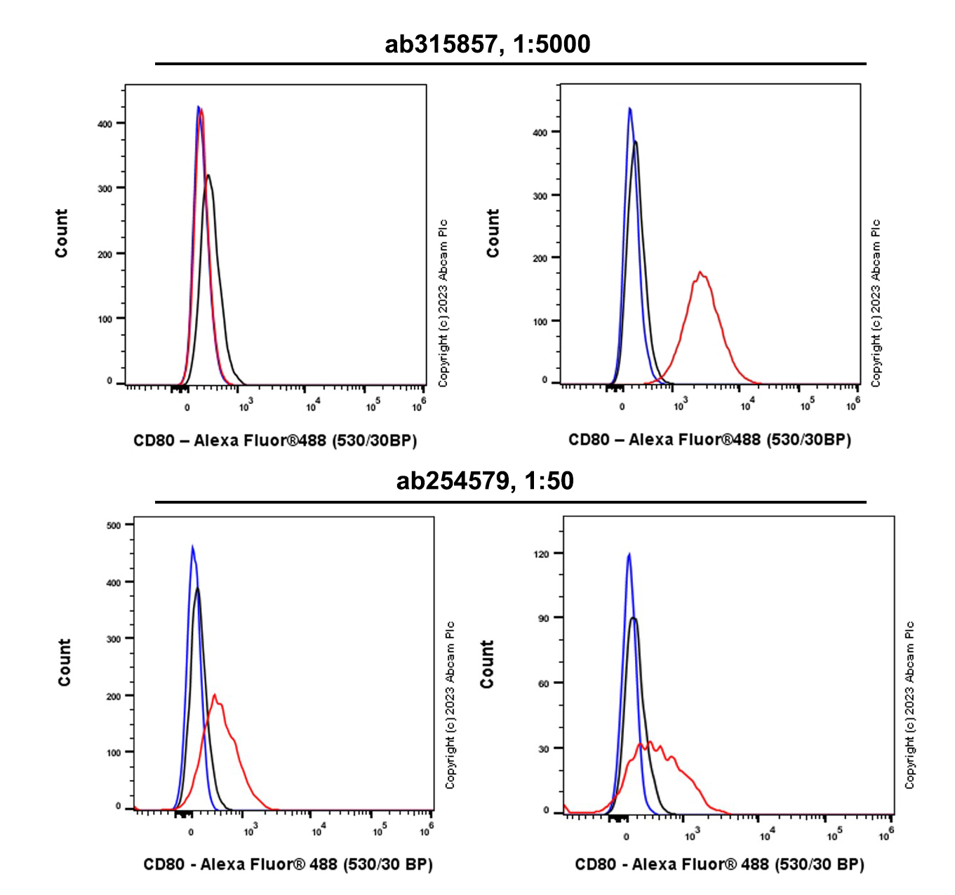 Anti-CD80 antibody [RM1104] KO Tested (ab315857) | Abcam