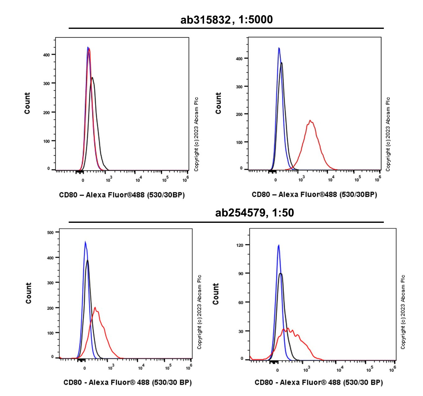 Anti-CD80 antibody [RM1133] KO Tested (ab315832) | Abcam