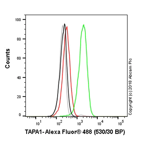 Anti-CD81 抗体 [1D6] (ab23505) | Abcam
