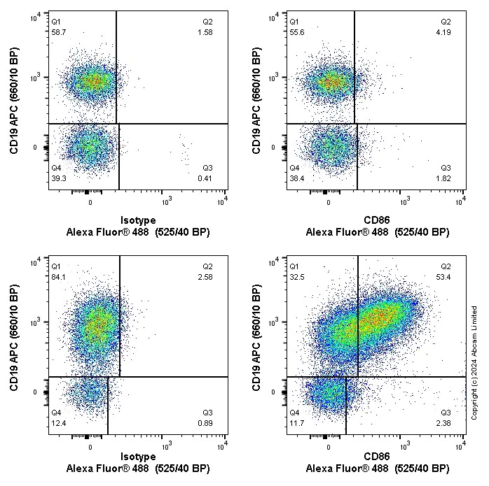 Anti-CD86 antibody [EPR22958-106] (ab242142) | Abcam