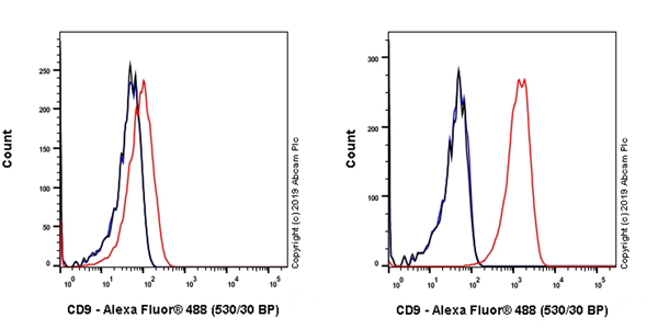 Anti-CD9 antibody [EPR23105-121] - monocyte marker (ab236630) | Abcam