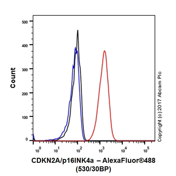 CDKN2A/p16INK4a抗体[EPR20418] - BSA and Azide free (ab232402)| Abcam中文官网