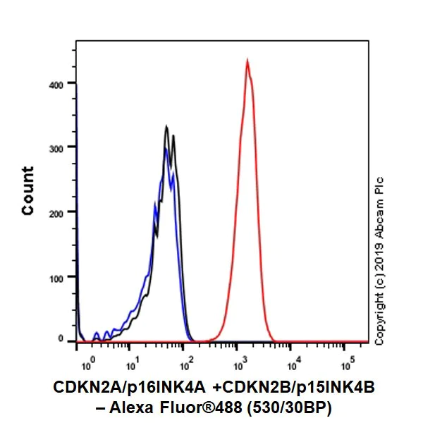 Anti-CDKN2A/p16INK4A + CDKN2B/p15INK4B antibody [EP435Y-129R] (ab81278 ...