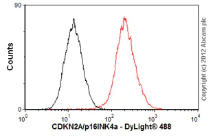CDKN2A/p16INK4A + CDKN2B/p15INK4B抗体[EP435Y-129R] (ab81278)| Abcam中文官网