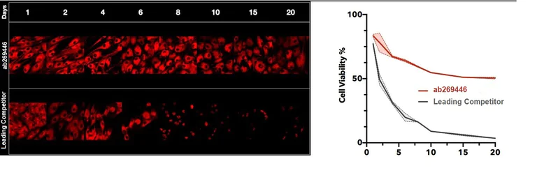 Cell Tracking Red Dye Kit - Longer cell staining, DMSO-free (ab269446 ...