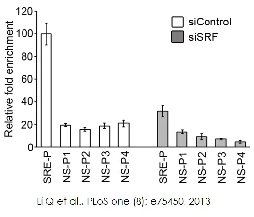 ChIP Kit (ab500) | Abcam