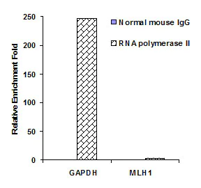 ChIP Kit Magnetic - One Step (ab156907) | Abcam