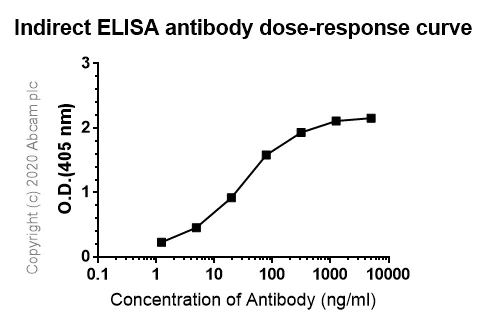 Anti-Chondroitinase ABC I antibody [HL2010] - BSA and Azide free ...