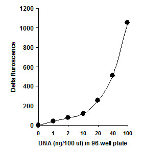 General DNA Quantification Kit (ab156902) | Abcam