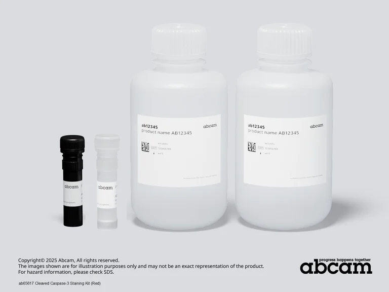 Cleaved Caspase-3 Staining Kit (Red) (ab65617) | Abcam