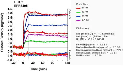 Anti-CLIC2 antibody [EPR6495] - BSA and Azide free (ab248151) | Abcam