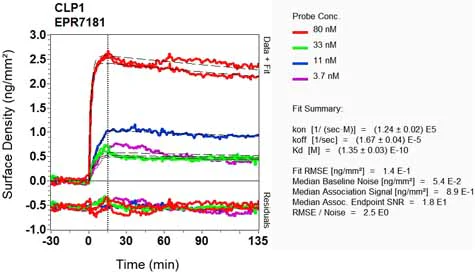 Anti-CLP1 antibody [EPR7181] (ab128939) | Abcam