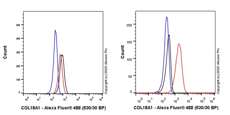 Anti-COL18A1 antibody [EPR23481-240] - BSA and Azide free (ab275394 ...