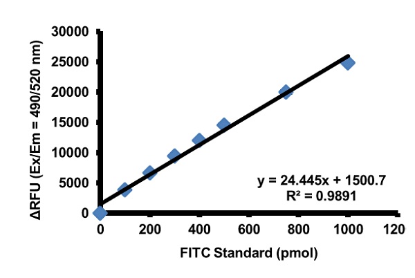 Collagen Degradation/Zymography Assay Kit (Fluorometric) | Abcam