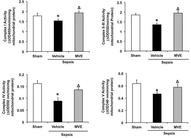Complex IV Activity Assay Kit (Rodent) (ab109911) | Abcam