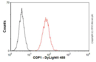 Anti-COP1 antibody [1E4] Mouse monoclonal (ab56400) | Abcam
