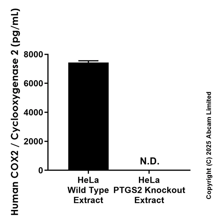 Anti-COX2 / Cyclooxygenase 2 antibody [EPR25651-550] - BSA and Azide free (Capture) (ab323358 ...