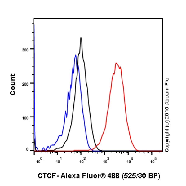 Anti-CTCF antibody [EPR7314(B)] - ChIP Grade (ab128873) | Abcam