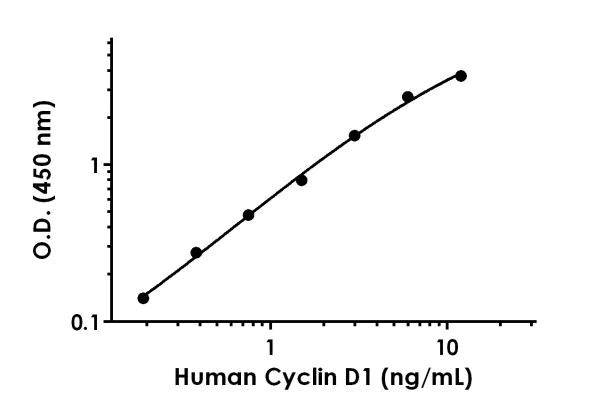 Anti-Cyclin D1 antibody [EPR19578-29] - BSA and Azide free (ab242842 ...