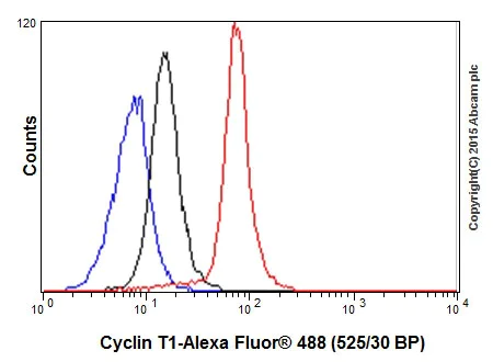 Cyclin T1抗体[EPR17982] (ab184703)| Abcam中文官网