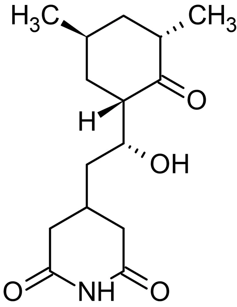 Cycloheximide, Protein synthesis inhibitor (CAS 66-81-9) | Abcam