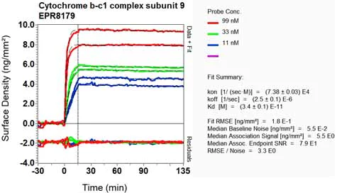 Anti-Cytochrome b-c1 complex subunit 9/UQCR10 antibody [EPR8179] - BSA and Azide free (ab248722 ...