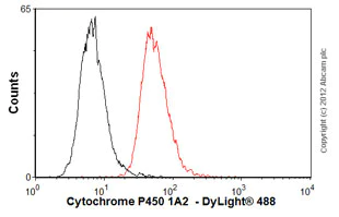 Anti-Cytochrome P450 1A2 antibody [d15 (16VII F10F12)] (ab22717) | Abcam