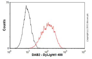 Anti-DAB2 antibody [EP2297Y] (ab76253) | Abcam