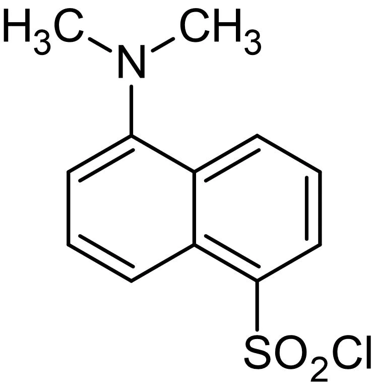 Dansyl chloride, Fluorogenic primary amine reactive reagent (CAS 605-65 ...