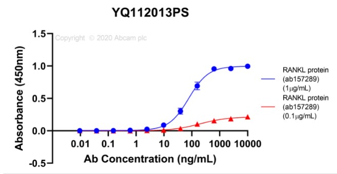 Anti-DDDDK tag (Binds to FLAG® tag sequence) antibody [6F7] (ab213519 ...
