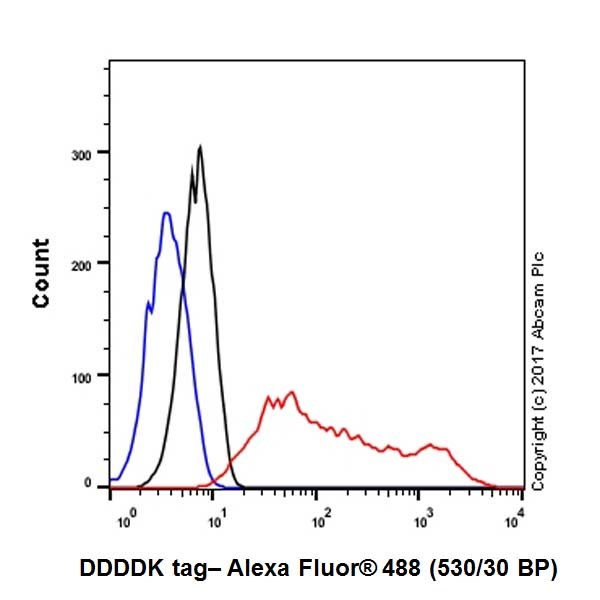 Anti-DDDDK tag (Binds to FLAG® tag sequence) antibody [EPR20018-251 ...