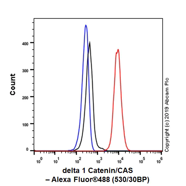 Anti-delta 1 Catenin/CAS antibody [YE372] - BSA and Azide free ...