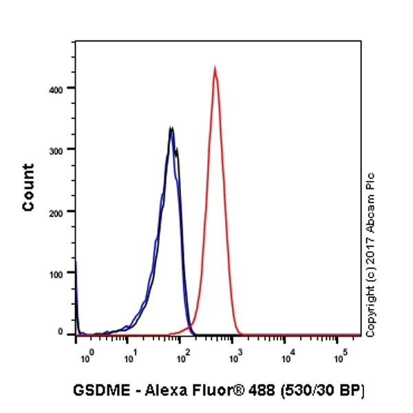 DFNA5/GSDME抗体[EPR19859] - N-terminal (ab215191)| Abcam中文官网